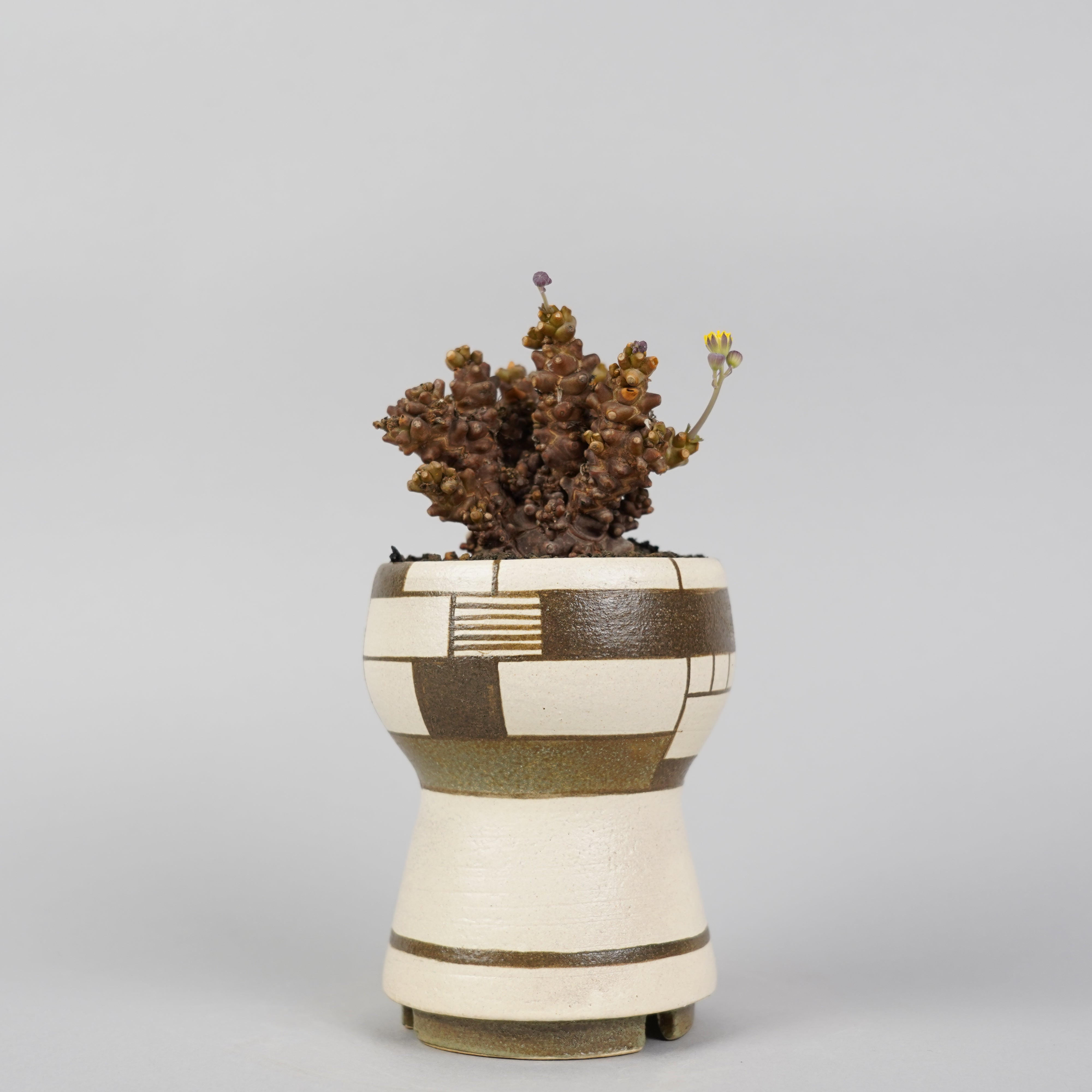 plantpot – Hachi-8