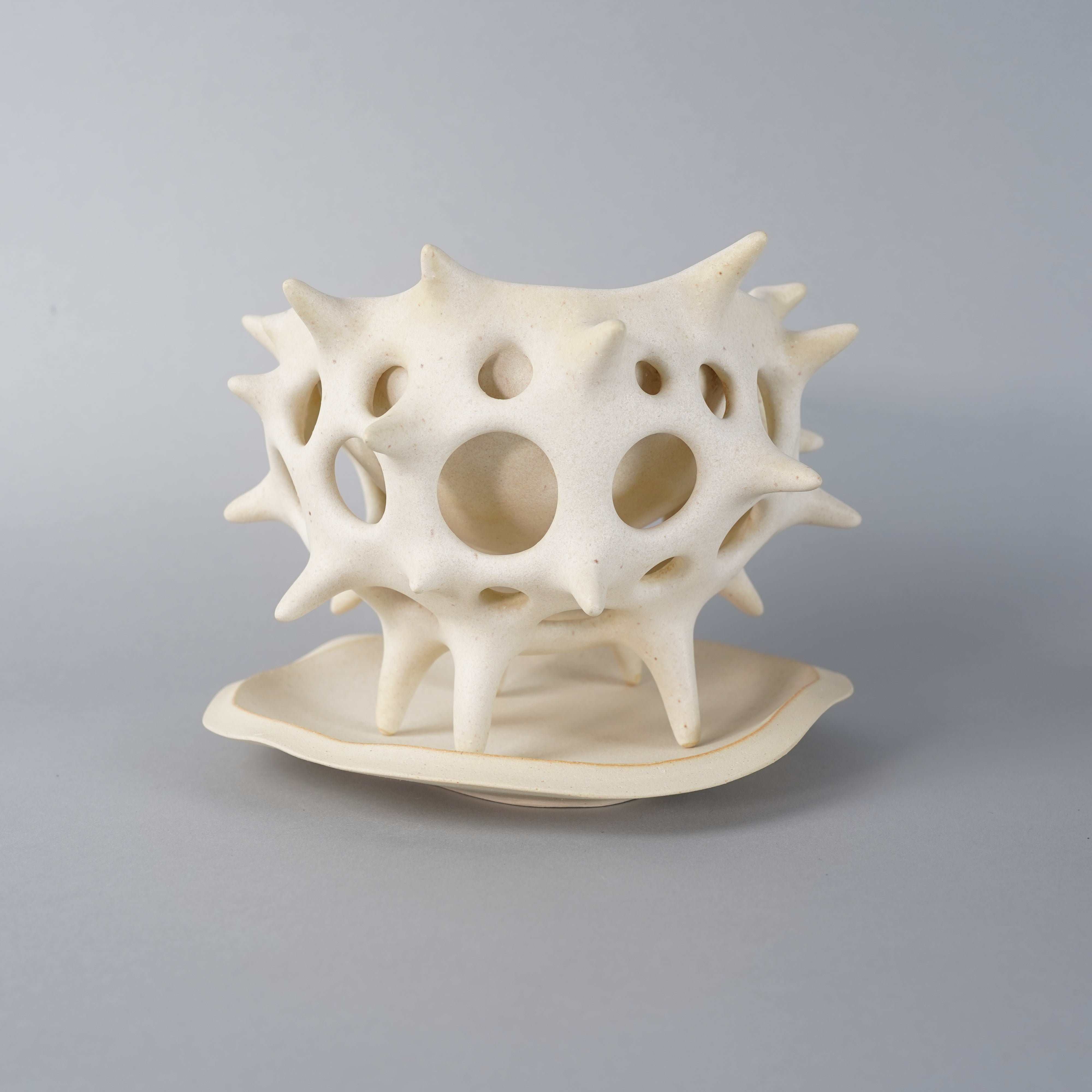 HACHI-8 88810 2023年 – Hachi-8